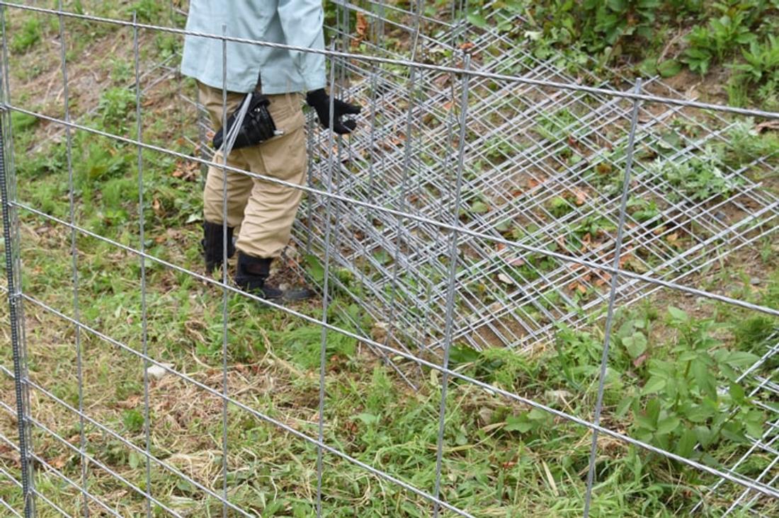 How much does rural fencing cost per metre? [2026]