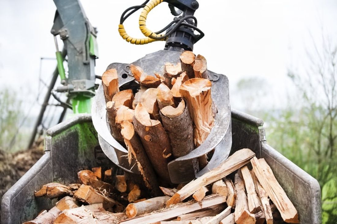 Best Tree Chipping Near Me