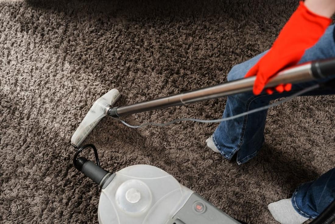 Carpet Dry Cleaning vs. Steam Cleaning - hipages