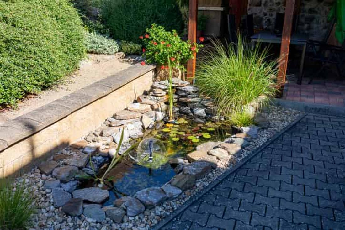 Tropical pool landscaping ideas for Australian backyards