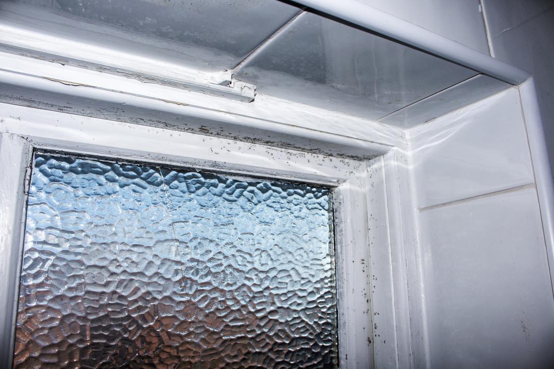 Tips to prevent and get rid of household mould
