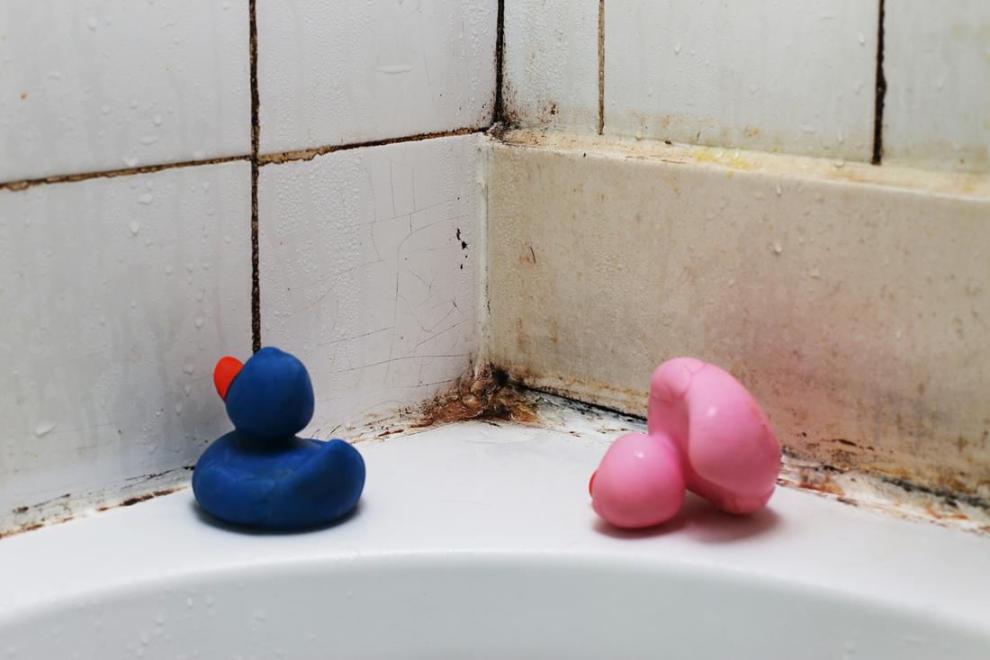 Tips to prevent and get rid of household mould