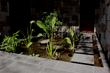Installing water features | Choose the right water feature for your sp