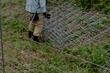 How much does rural fencing cost per metre? [2026]