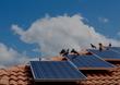 How Much Does It Cost To Pigeon Proof Solar Panels? [2026]