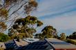 How Much Does It Cost To Pigeon Proof Solar Panels? [2026]