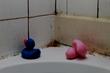 Tips to prevent and get rid of household mould