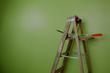 Find out how to paint a wall like a pro