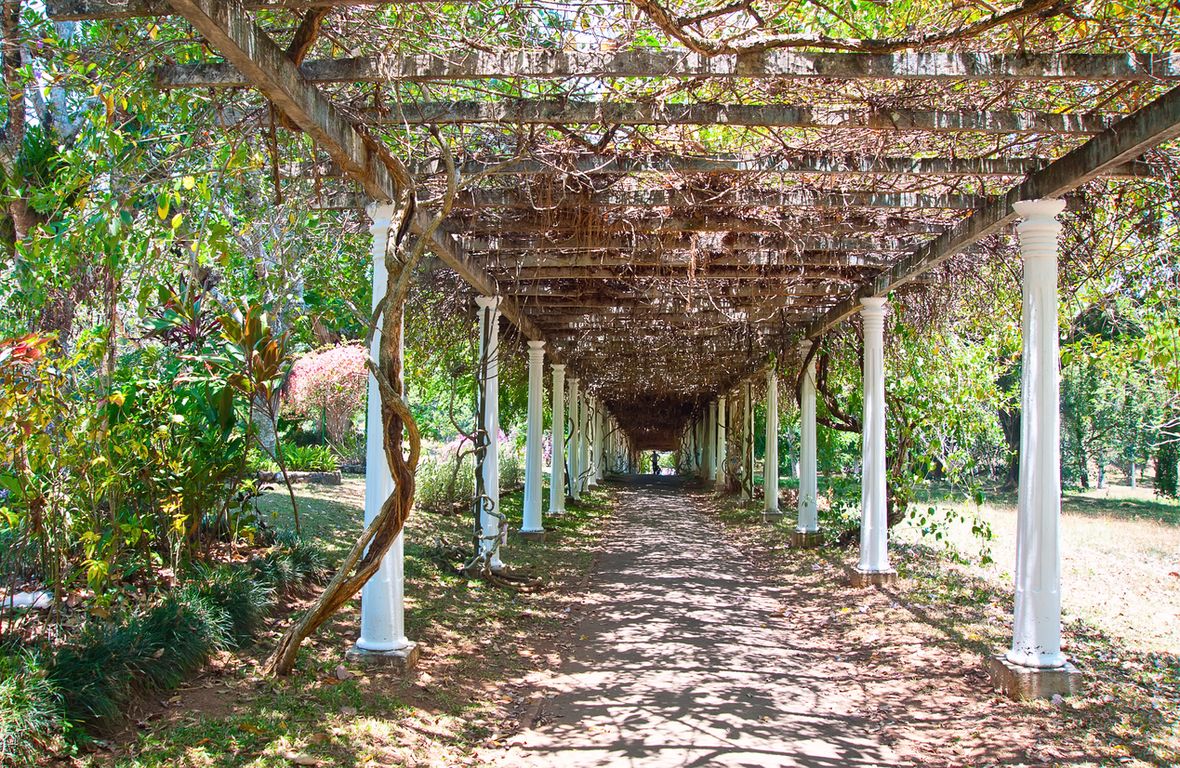 Covered walkways at home | Different types of walkways
