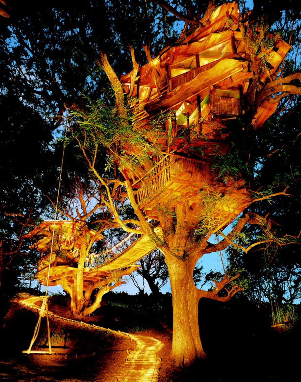 The best tree house hotels from around the world