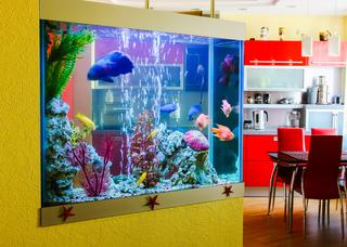 Unique splashback ideas and materials