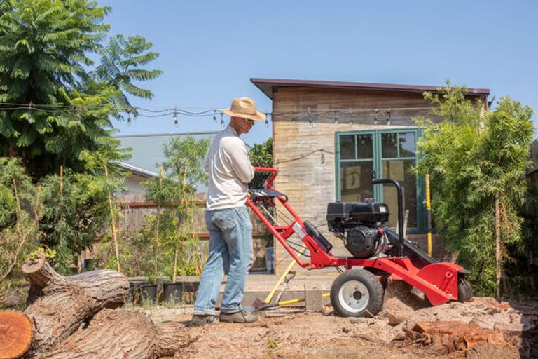 How Much Does Stump Grinding Cost? [2026]