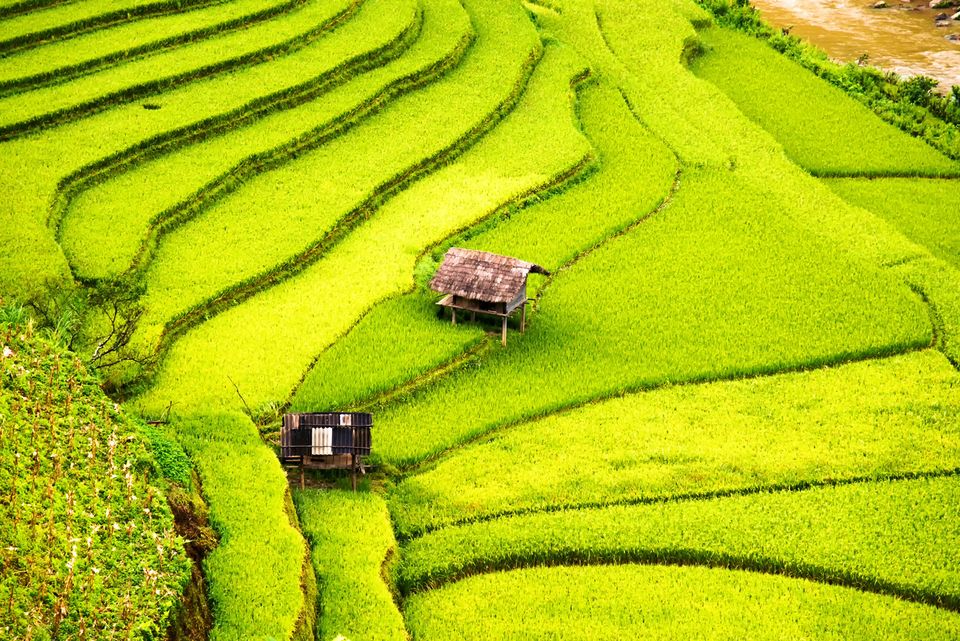 How to bring Vietnamese style and design home